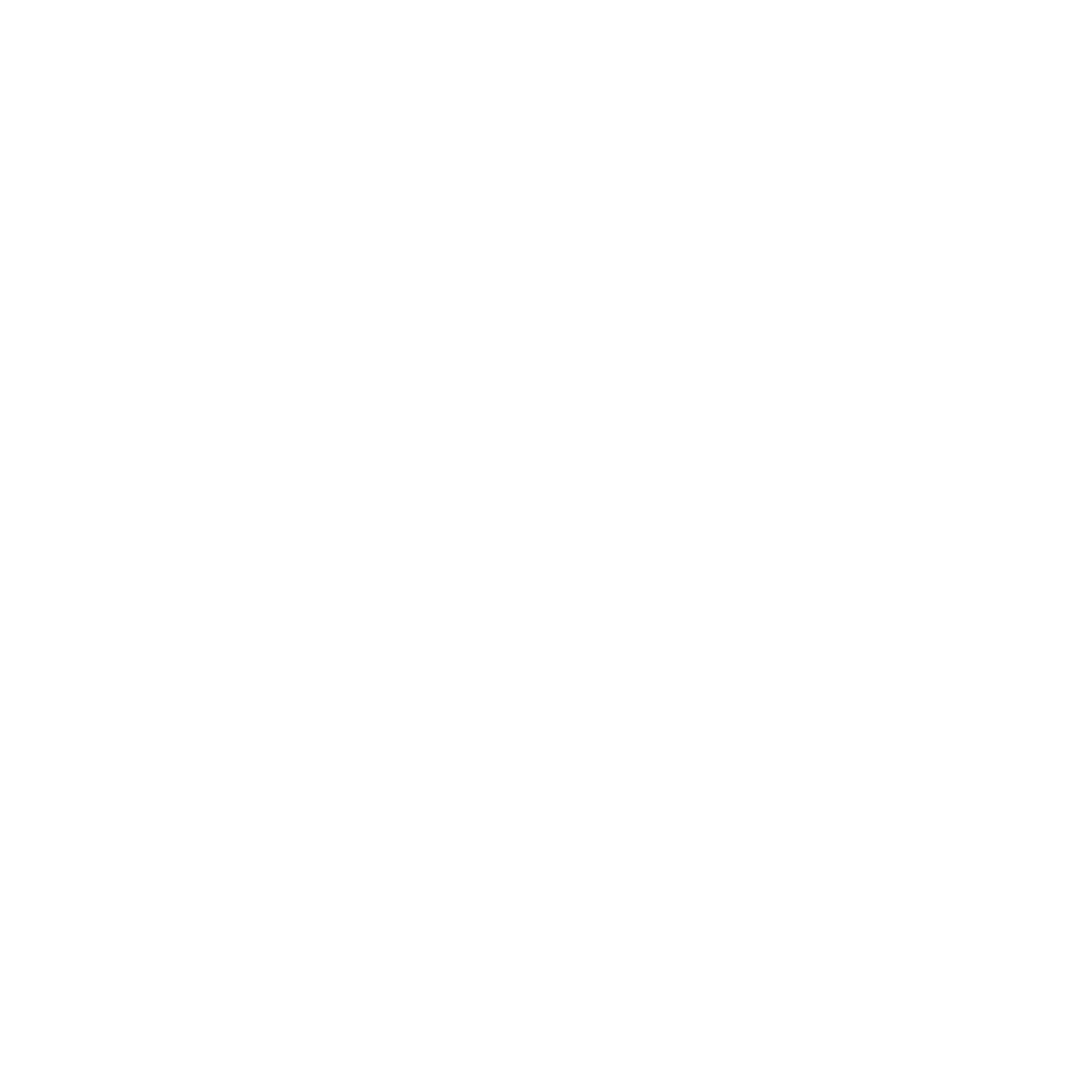 Schwietzer Icon60 – SCHWIETZER
